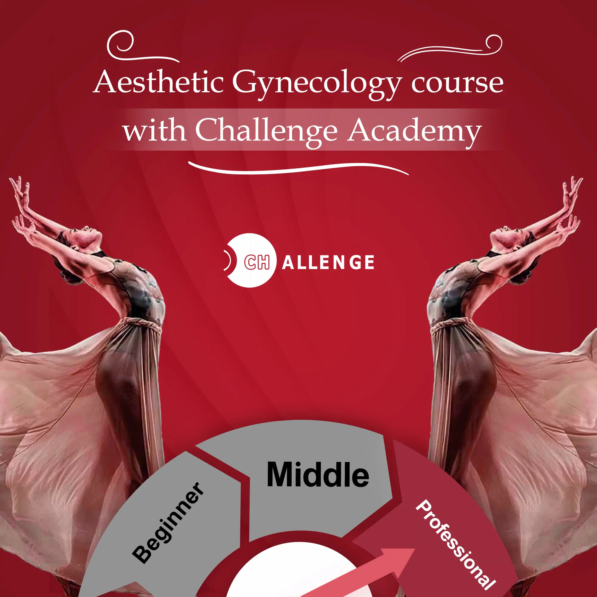 aesthetic gynecology course - Challenge Academy